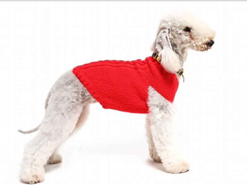 Вязаный свитер для собак