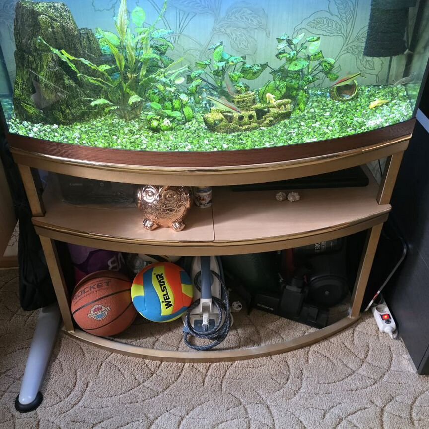 Аквариум на 240 литров