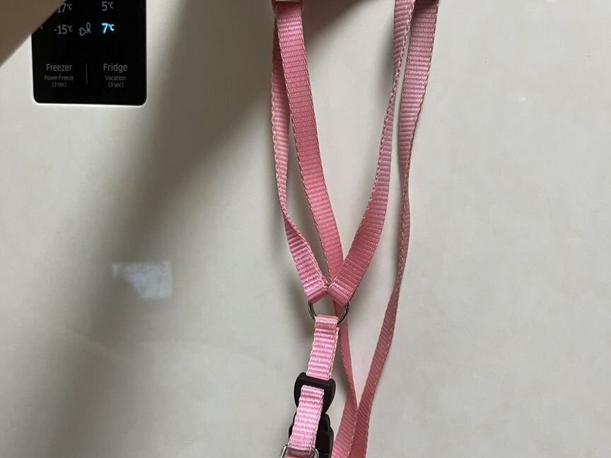 Шлейка для собаки