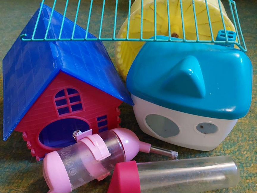 Поилка домик колесо для хомяка