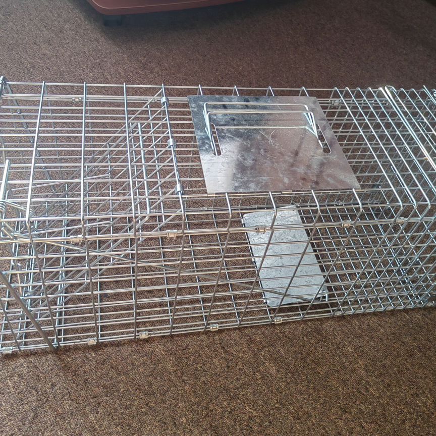 Котоловка