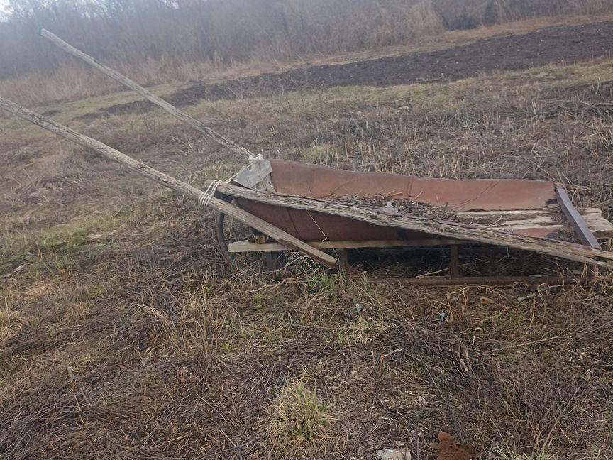 Сани для лошади