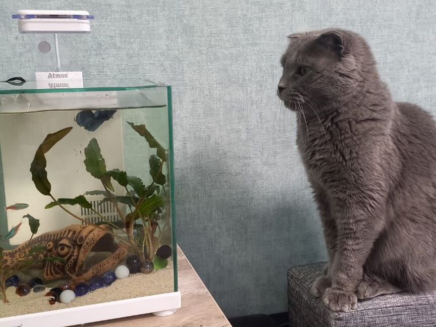 Аквариум 12л