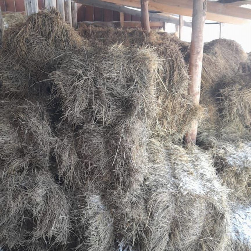 Сено луговое в тюках