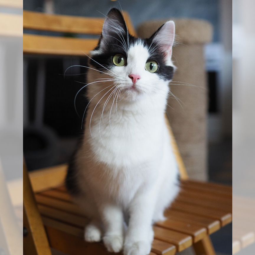 Меня зовут Луна