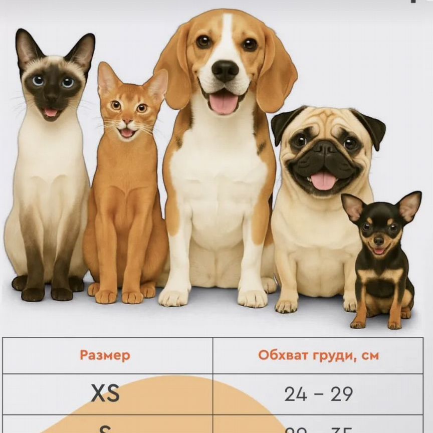 Шлейка для маленьких собак и кошек