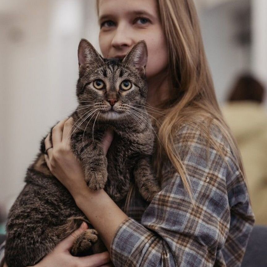 Плюш