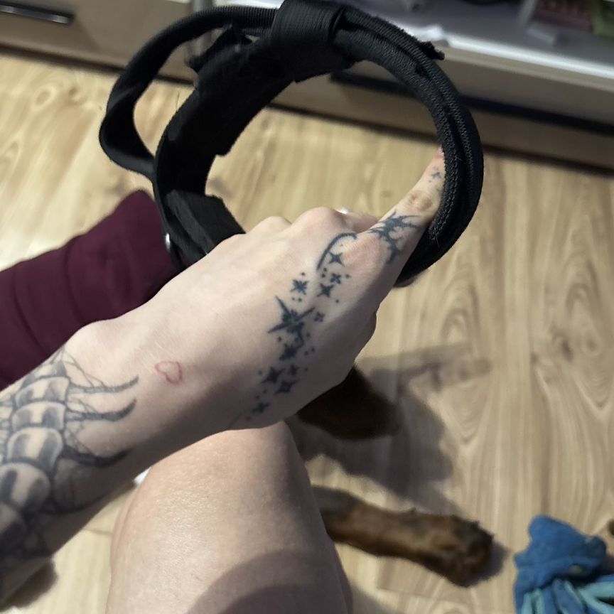 Ошейник для собак для крупных и средних пород