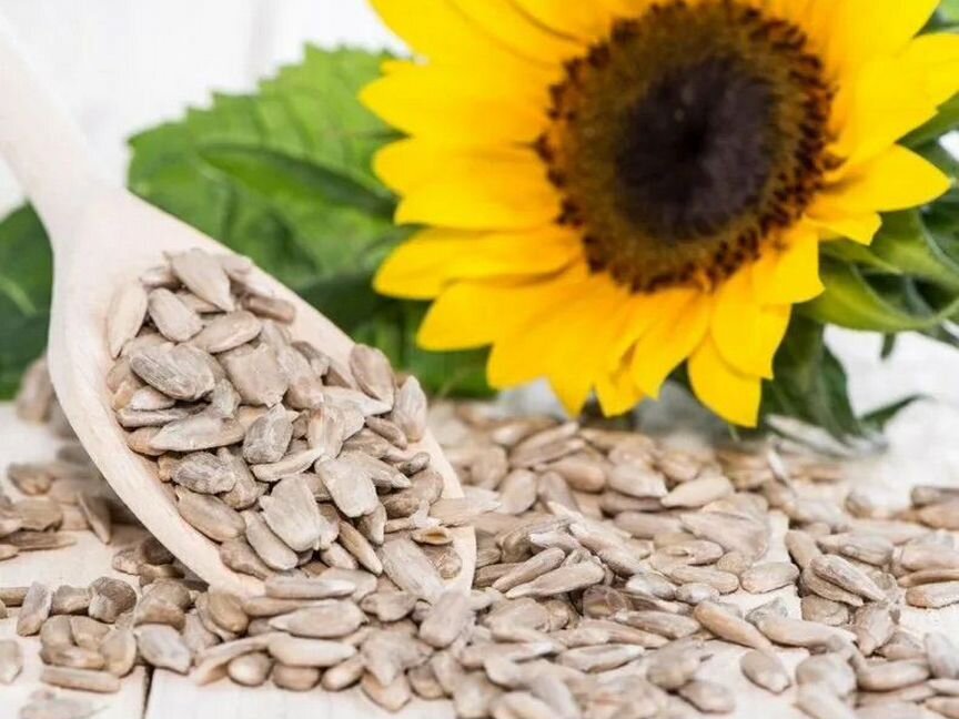 Семена подсолнечника