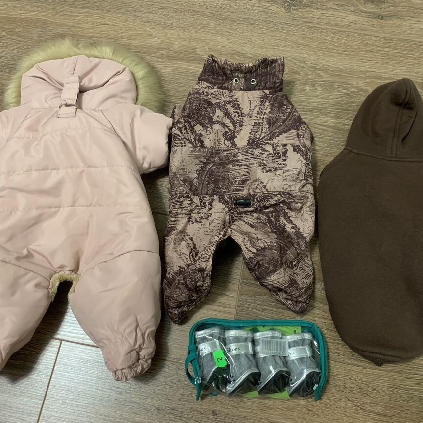 Одежда для собак