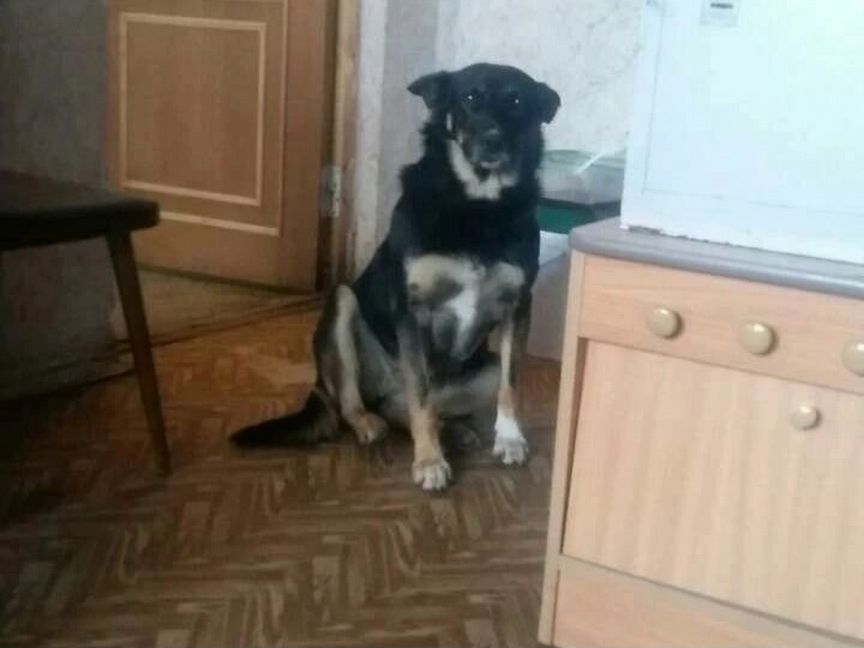 Альма так долго ждёт своего человека