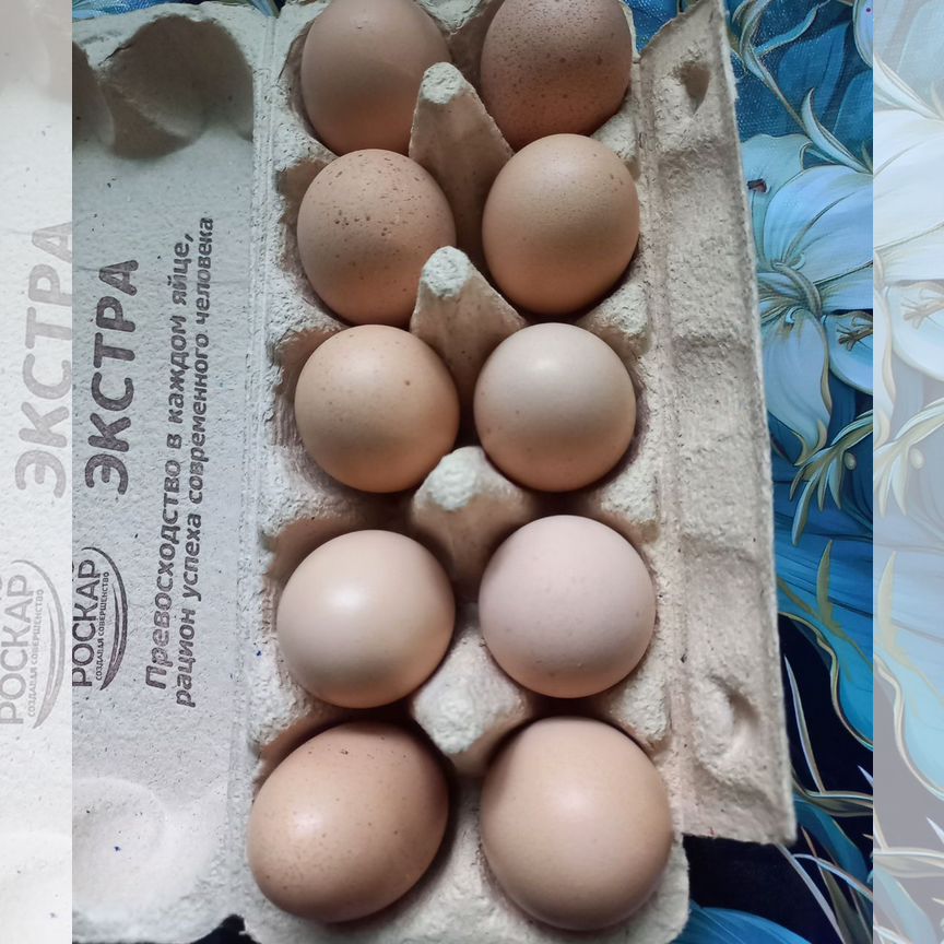 Яйца на инкубацию