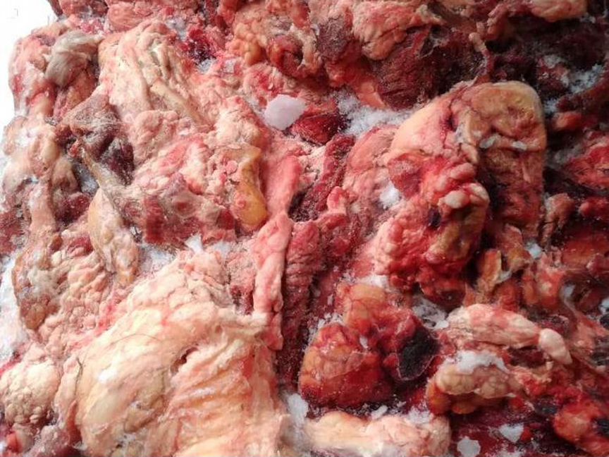 Мясо подъязычное на корм животным