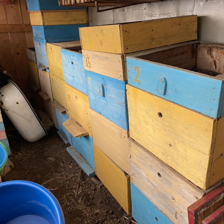 Ульи для пчел Дадан бу