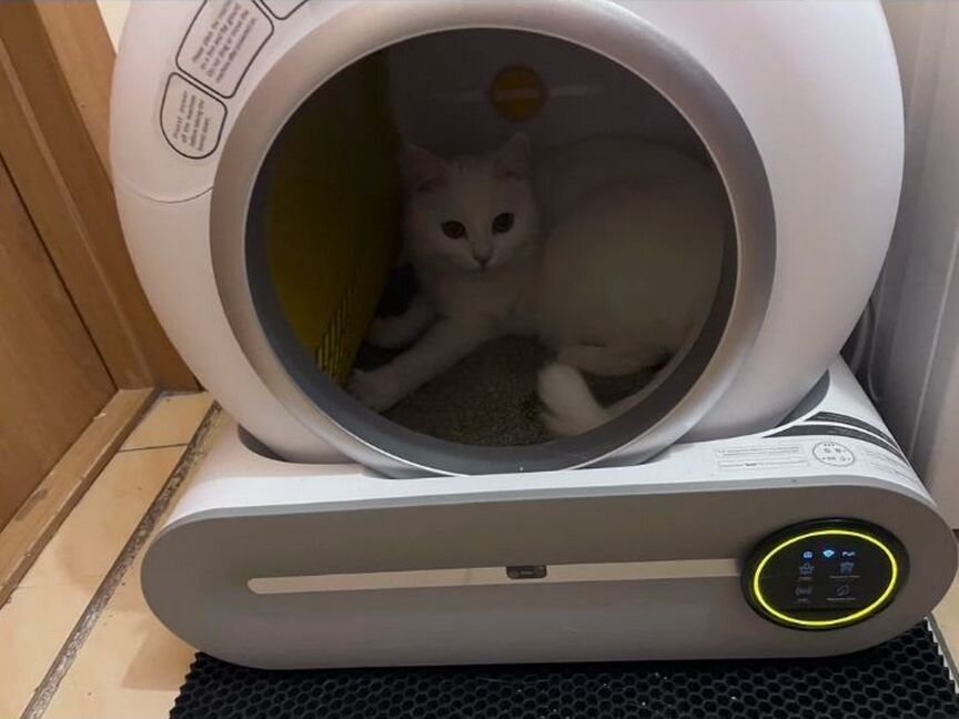 Автоматический кошачий туалет