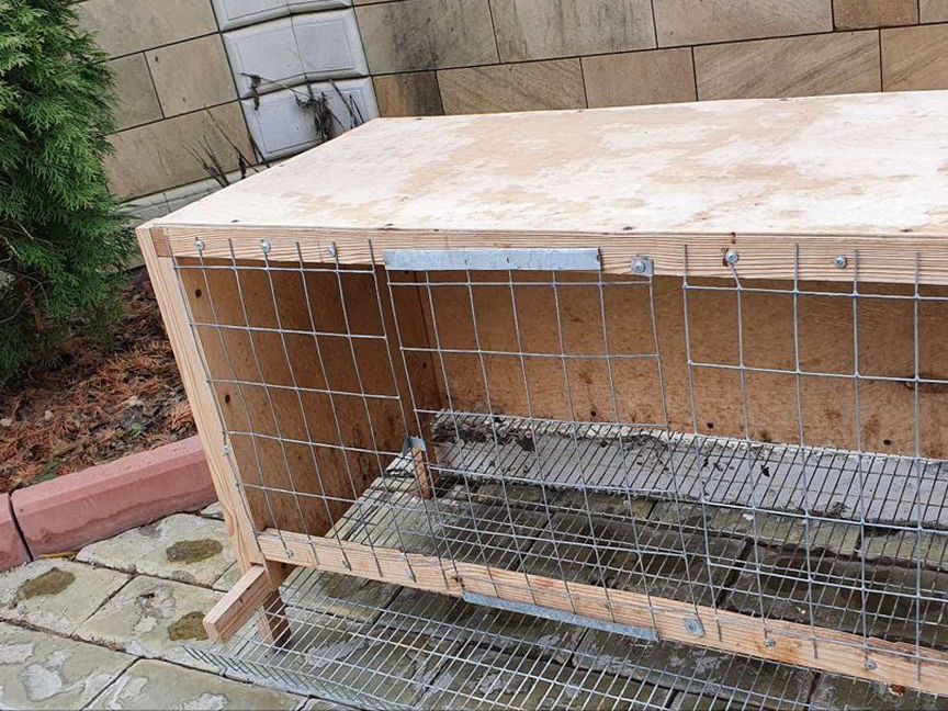 Клетка для кур