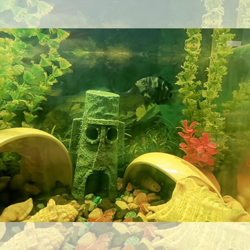 Одинокая дама желает познакомиться