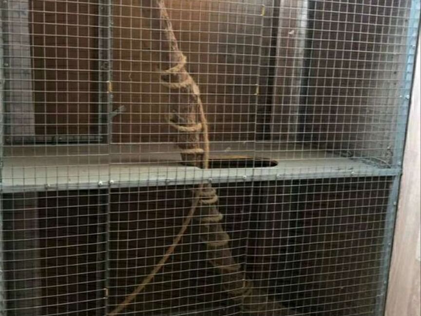 Клетка, вольер для шиншил, хорьков