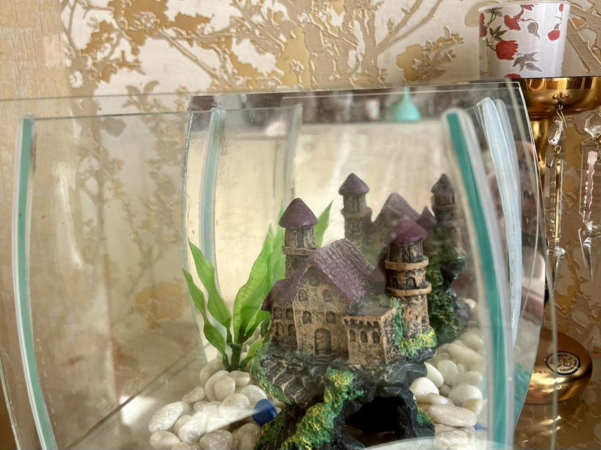 Аквариум для рыбки петушка