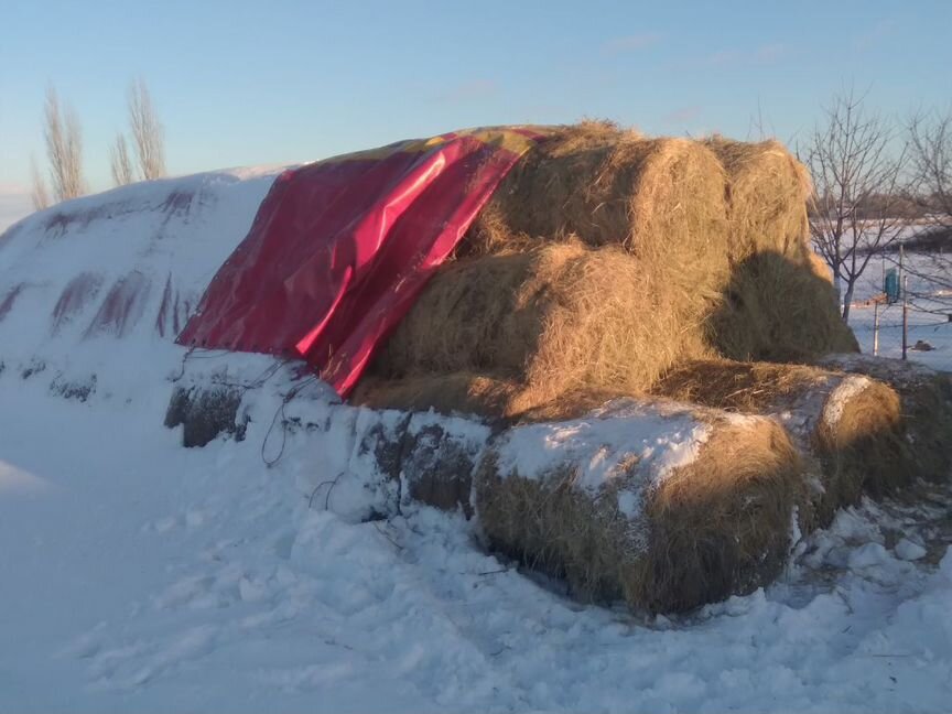 Продам сено в рулонах