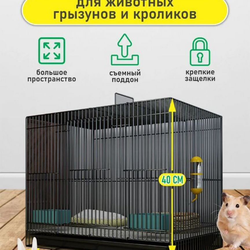 Клетка