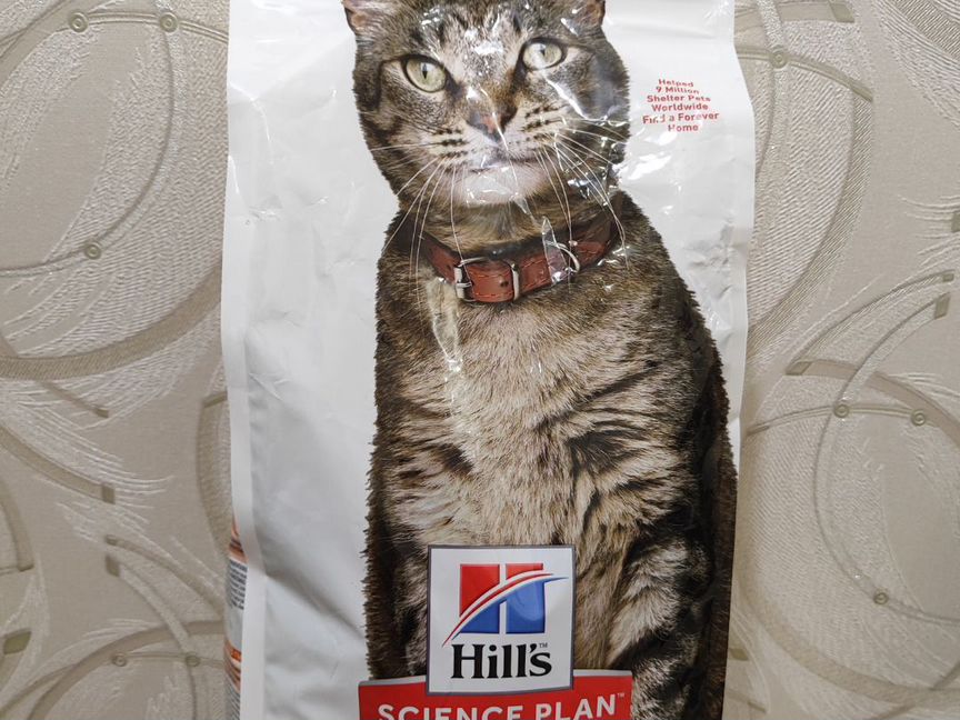 Корм для кошек hills
