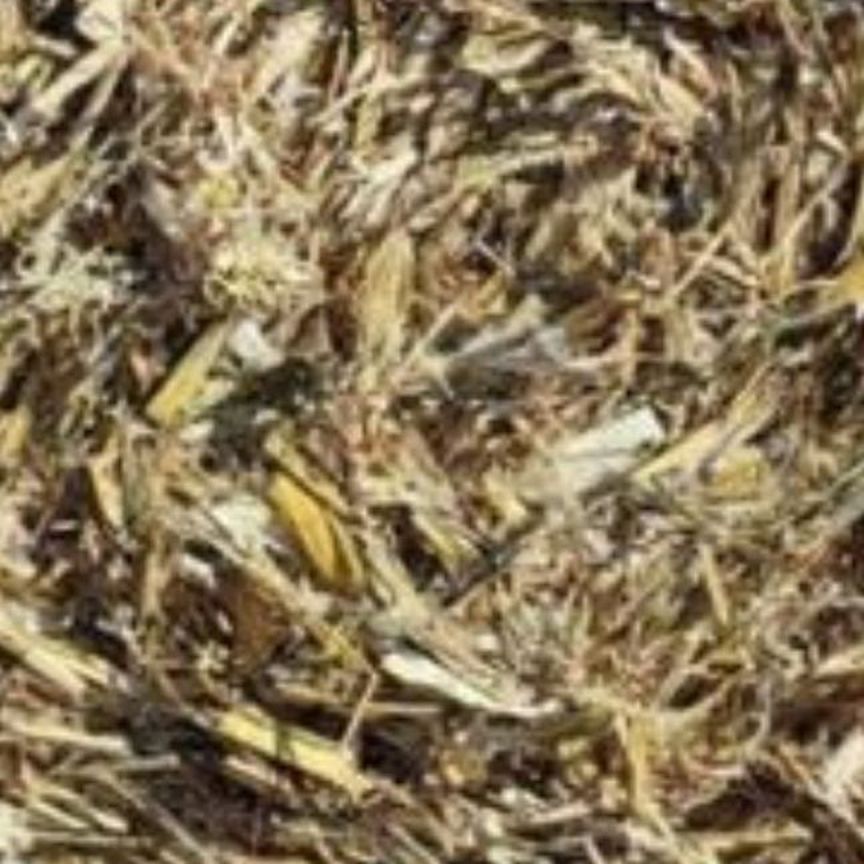 Кукурузное сено