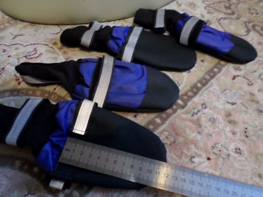 Ботинки для собак