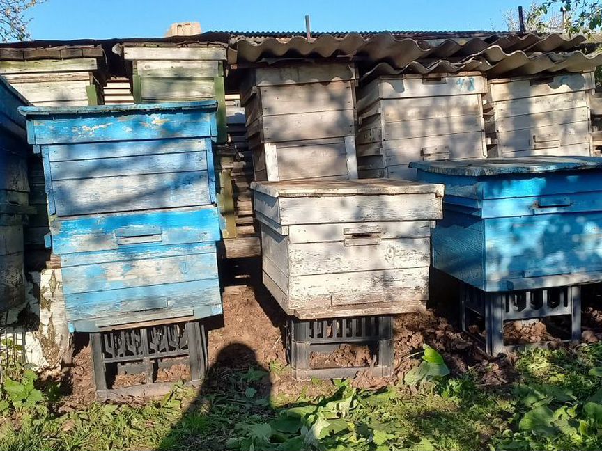 Продам 12 рамочные улья для пчел