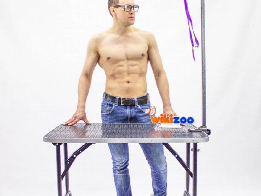 Стол для груминга складной 90 х 60 см