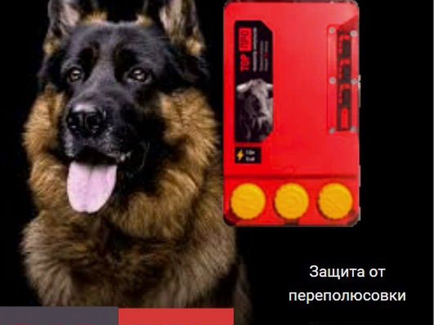 Электропастух