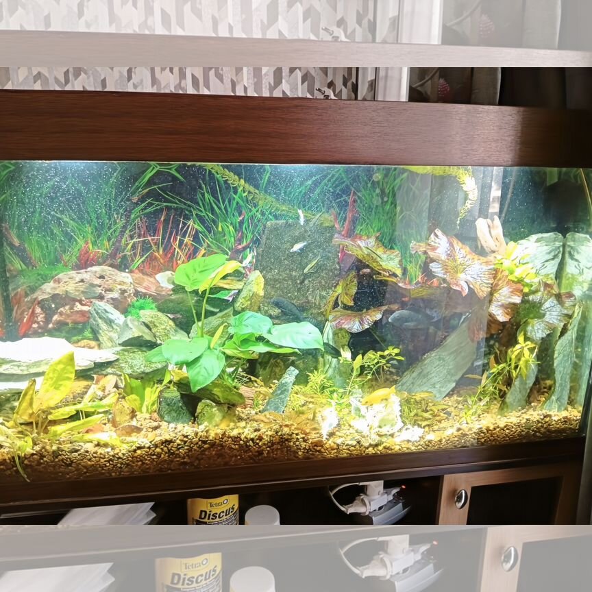 Аквариум juwel 200л. Внешние фильтры tetra ex1200