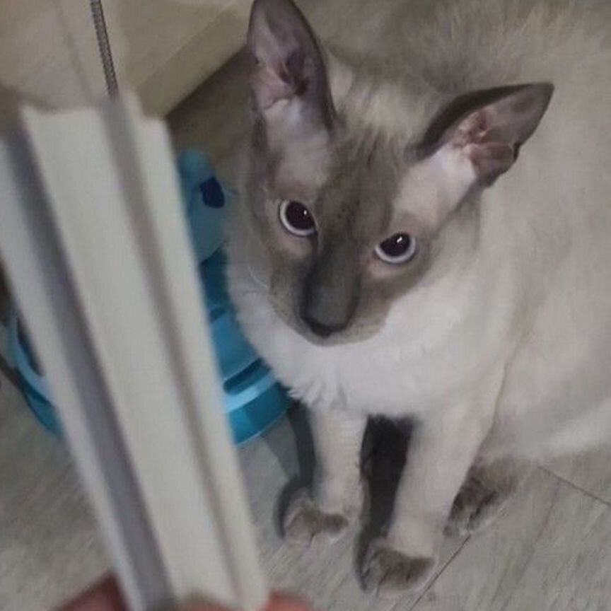 Деталь для поилки