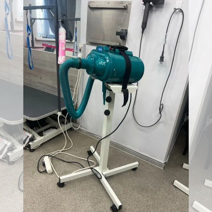 Фен компрессор для собак lantun 3800W   штатив