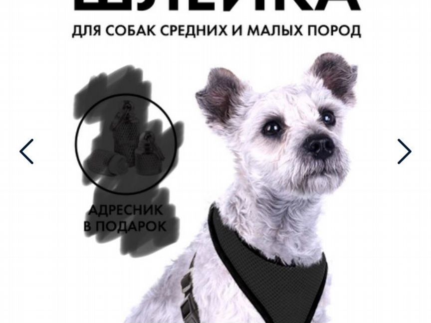 Анатомическая шлейка для маленьких и средних собак