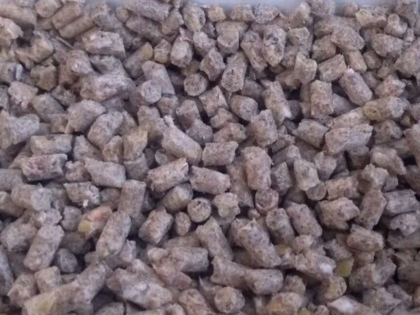 Поросята старт, рост