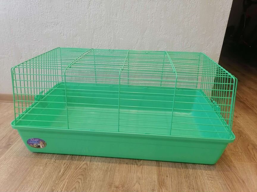 Клетка