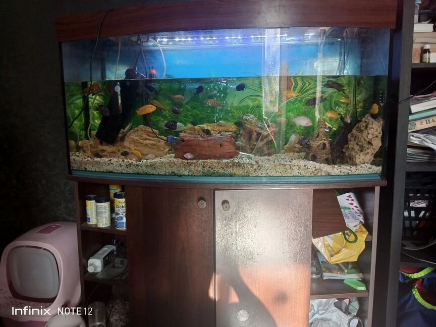 Аквариум с тумбой 300 литров