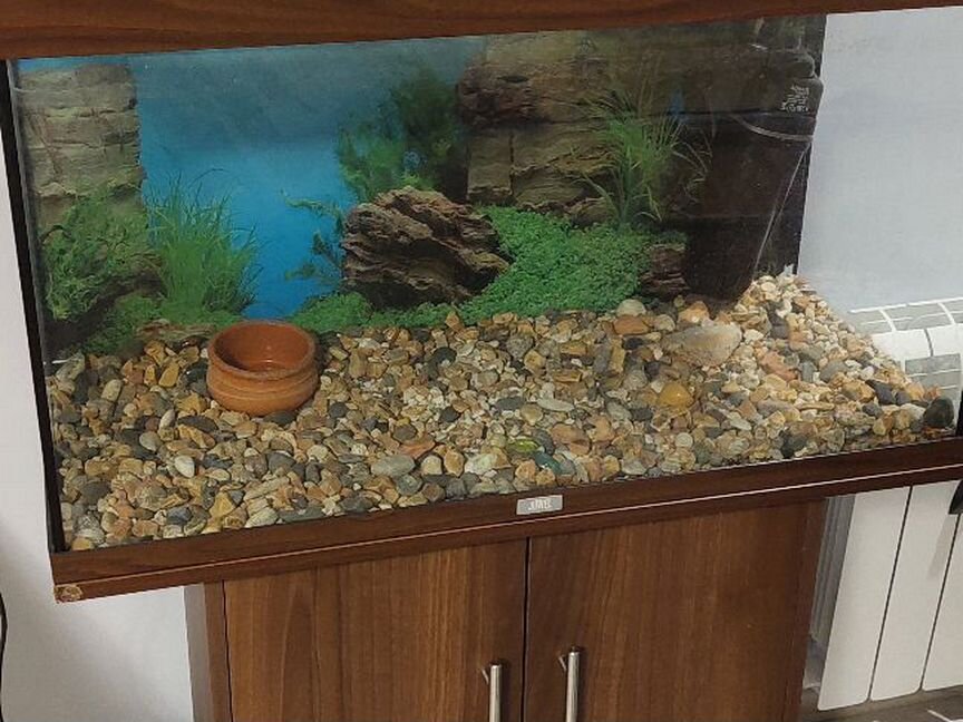 Аквариум С тумбой Juwel