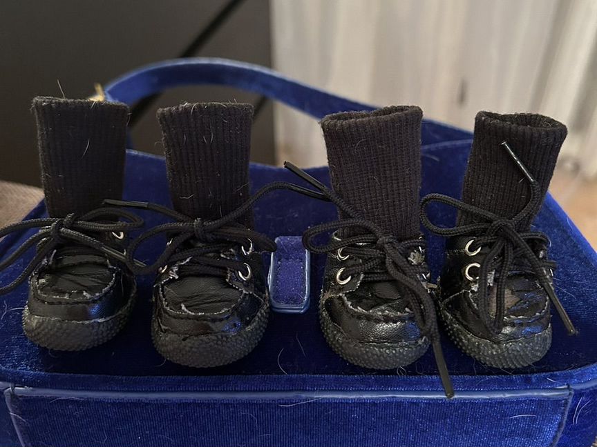 Ботинки для маленьких собак