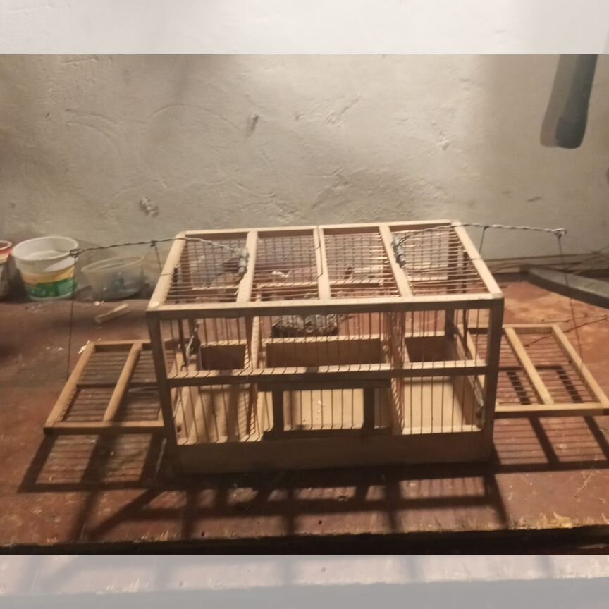 Западня,переноски