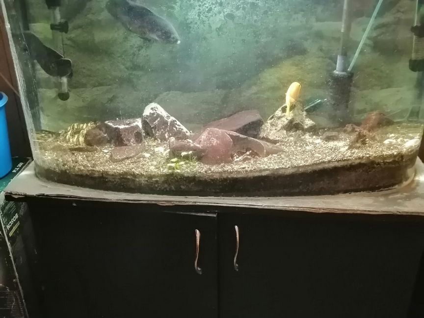 Аквариум с тумбой бу