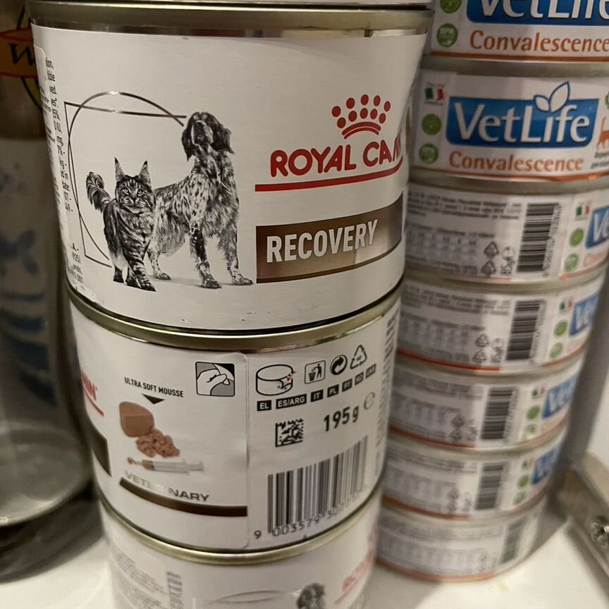 Royal canin recovery для собак и кошек