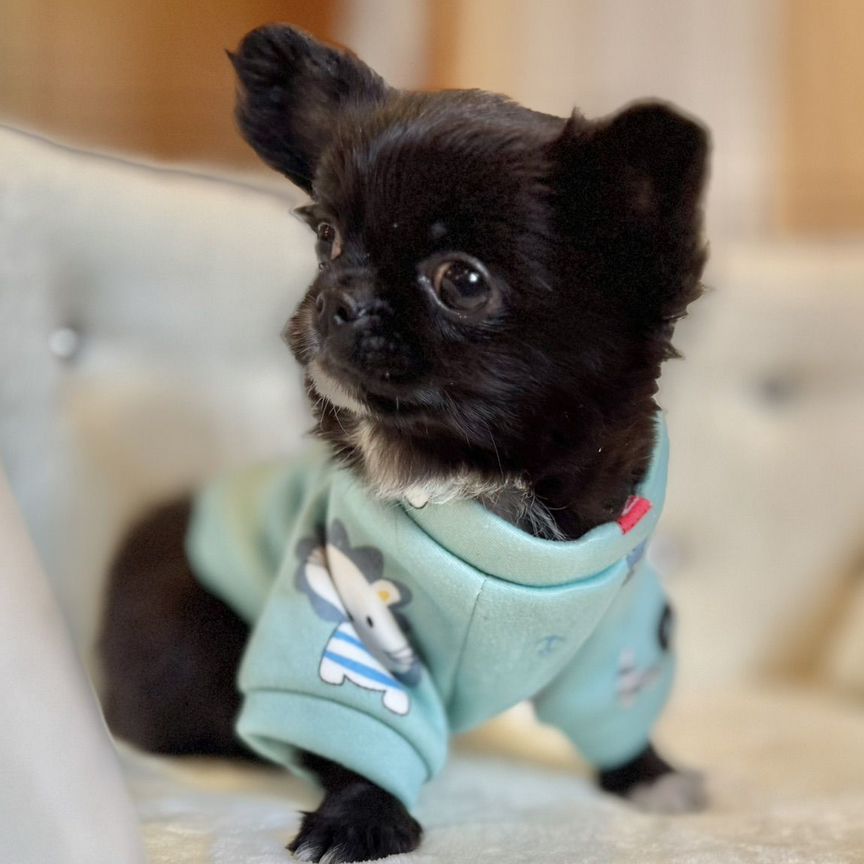 Шикарные мальЧишки