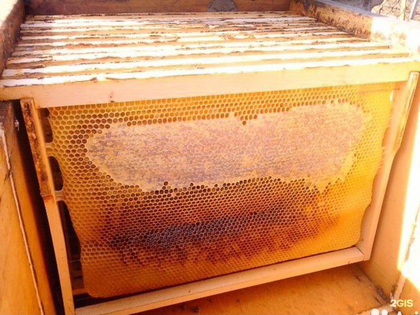Сушь для пчел с медом