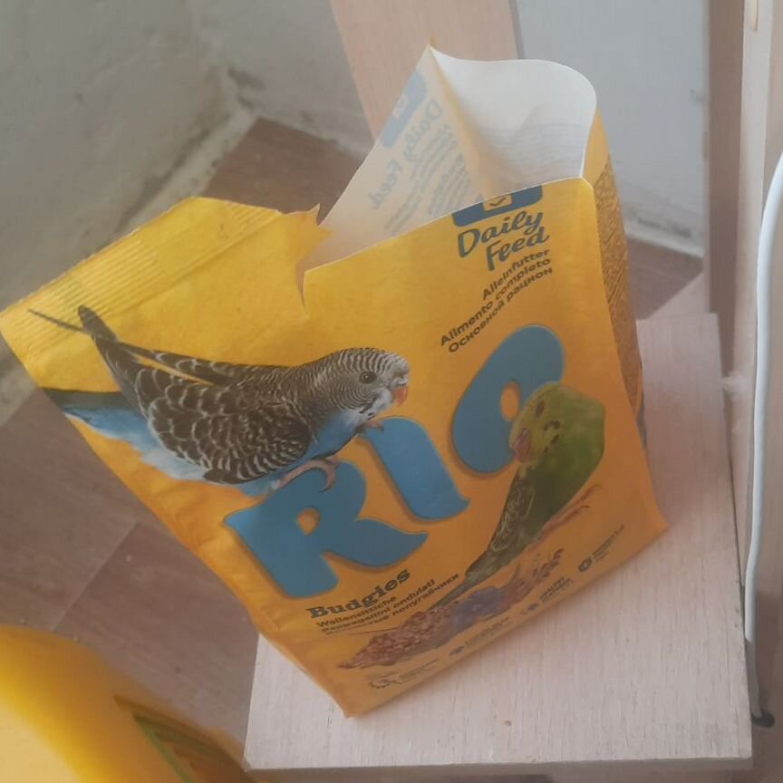 Волнистые попугаи он и она (бронь до вечера)