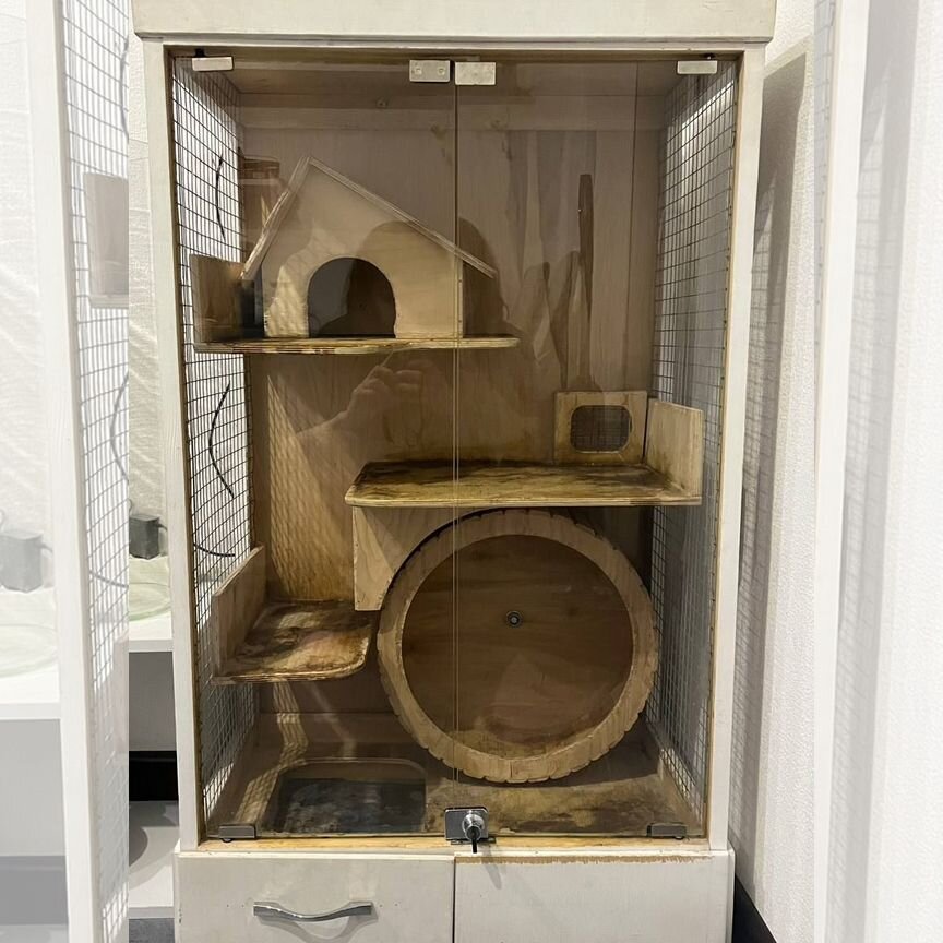 Витрина для шиншиллы бу