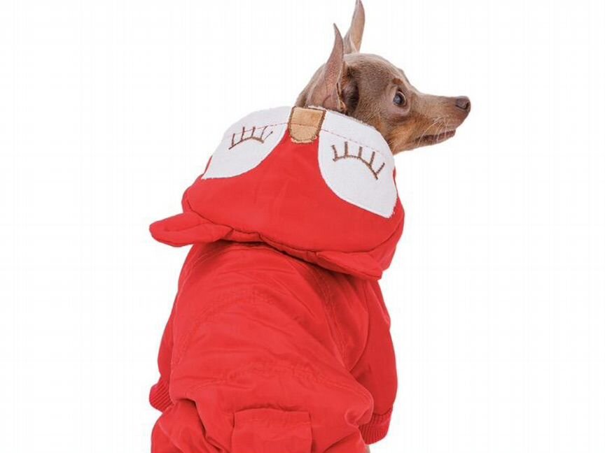 Зимний комбинезон для маленькой собаки Petmax M