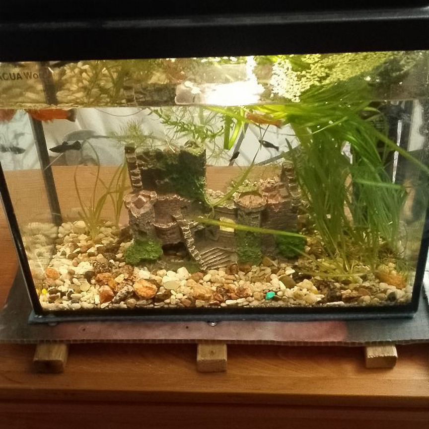 Готовый аквариум
