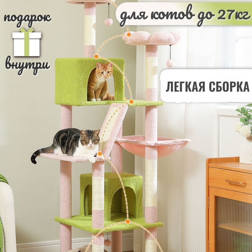 Домик для кошки разных цветов